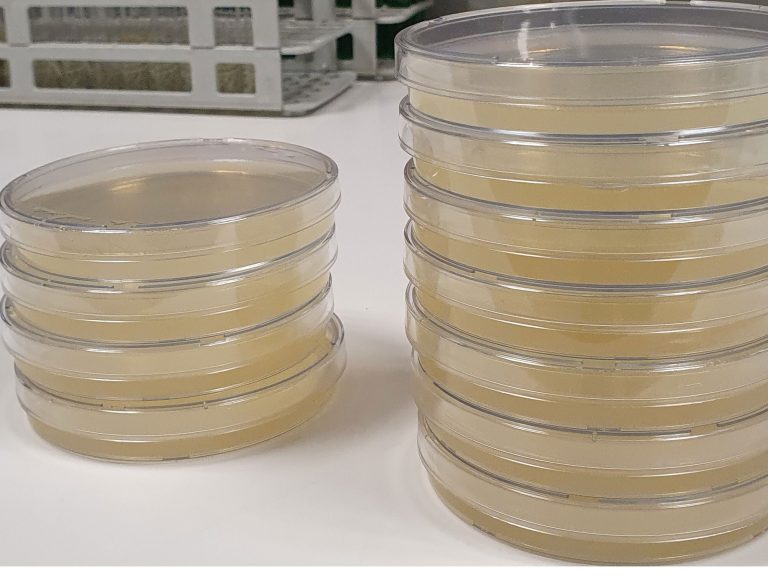 Agar Plates Archives - KB Scientific Ltd